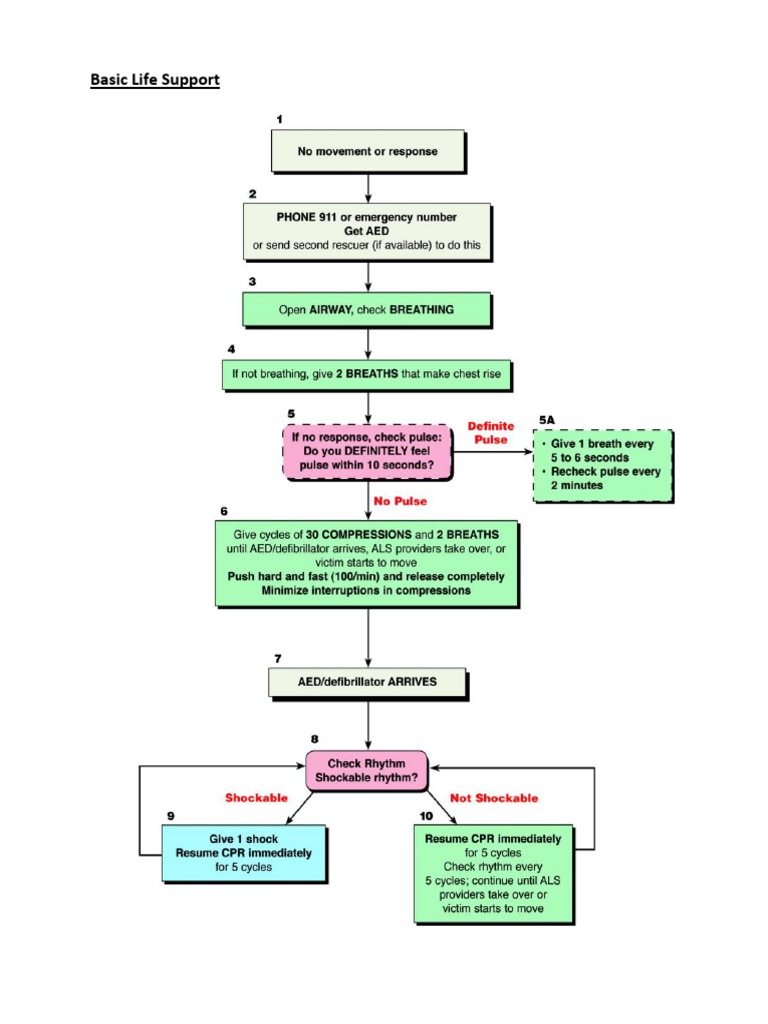 Basic Life Support | PDF | Cardiopulmonary Resuscitation | Cardiac ...