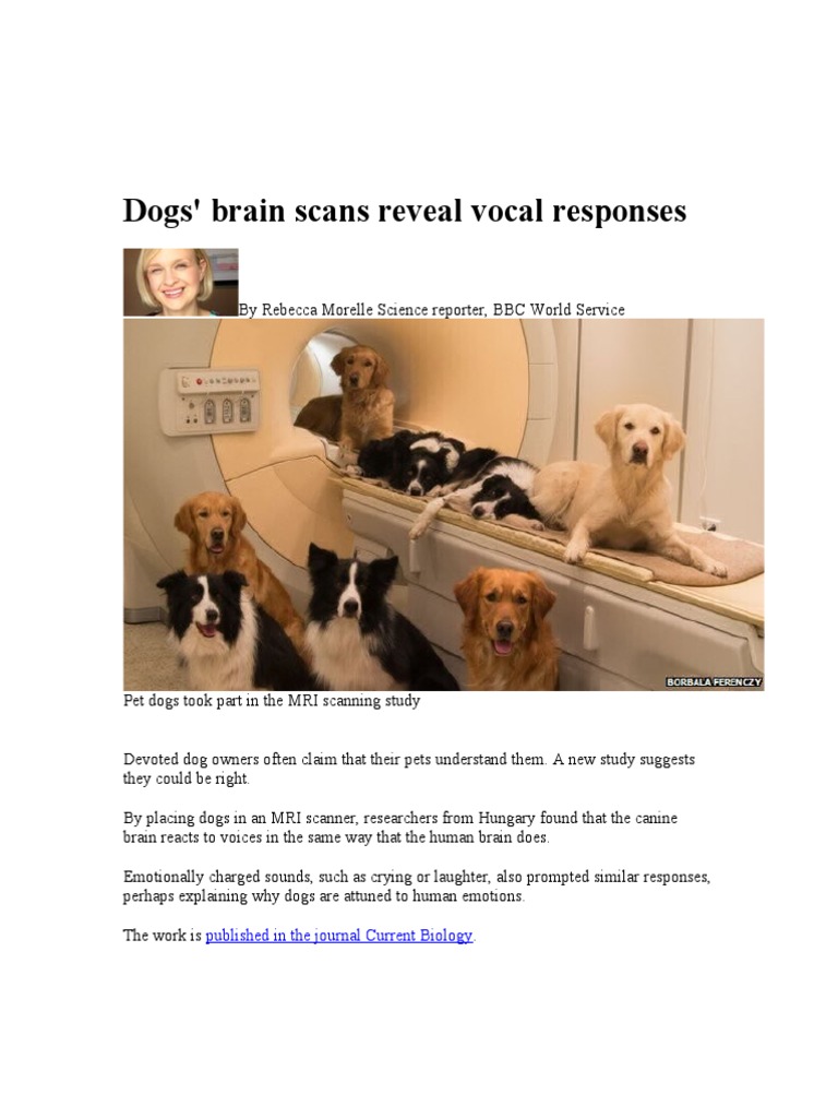 Dogs' Brain Scans Reveal Vocal Responses: Published in The Journal ...