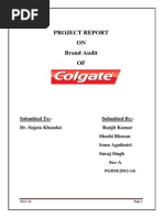 Questionnaire On Toothpaste | PDF