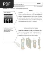 Handout 4-21 - Pigeonetics - Lab | PDF | Phenotypic Trait | Dominance ...