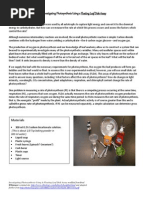 Measuring Transpiration with a Potometer | PDF | Leaf | Stoma