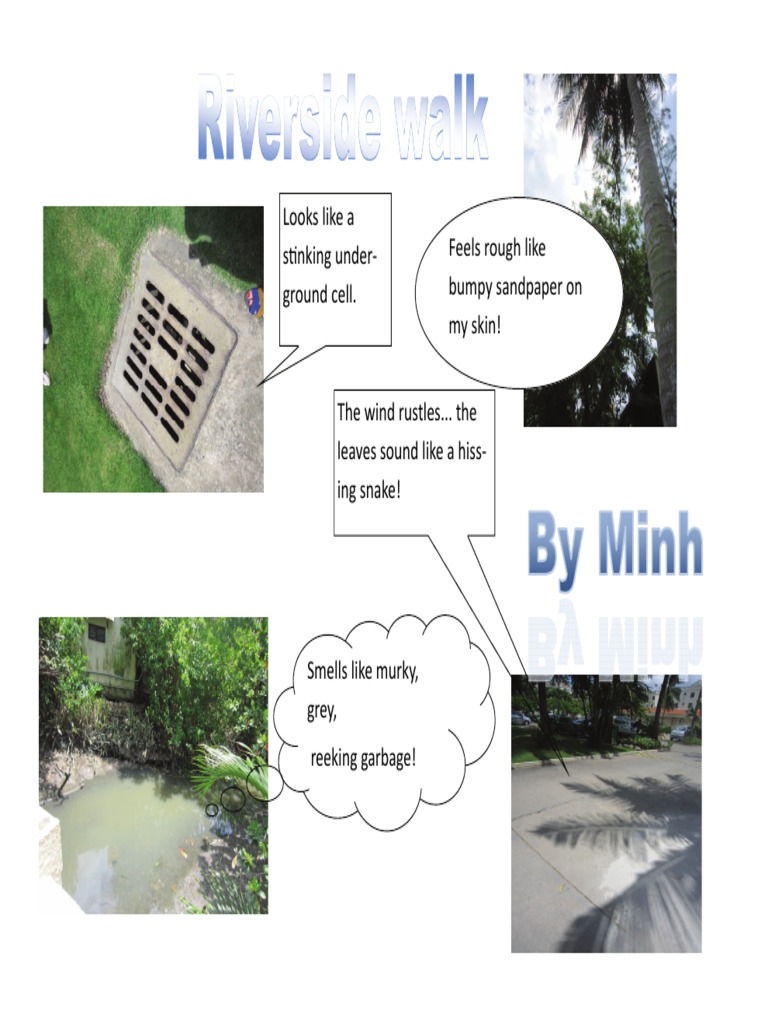 Vivid Descriptions of a Gloomy Scene | PDF | Young Adult