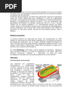 TAPERIBA | PDF | Flores | Ramas de la botánica