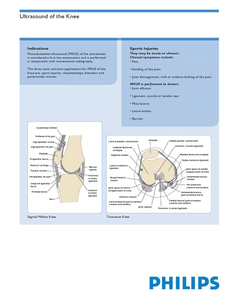 Knee Ultrasound | Knee | Soft Tissue