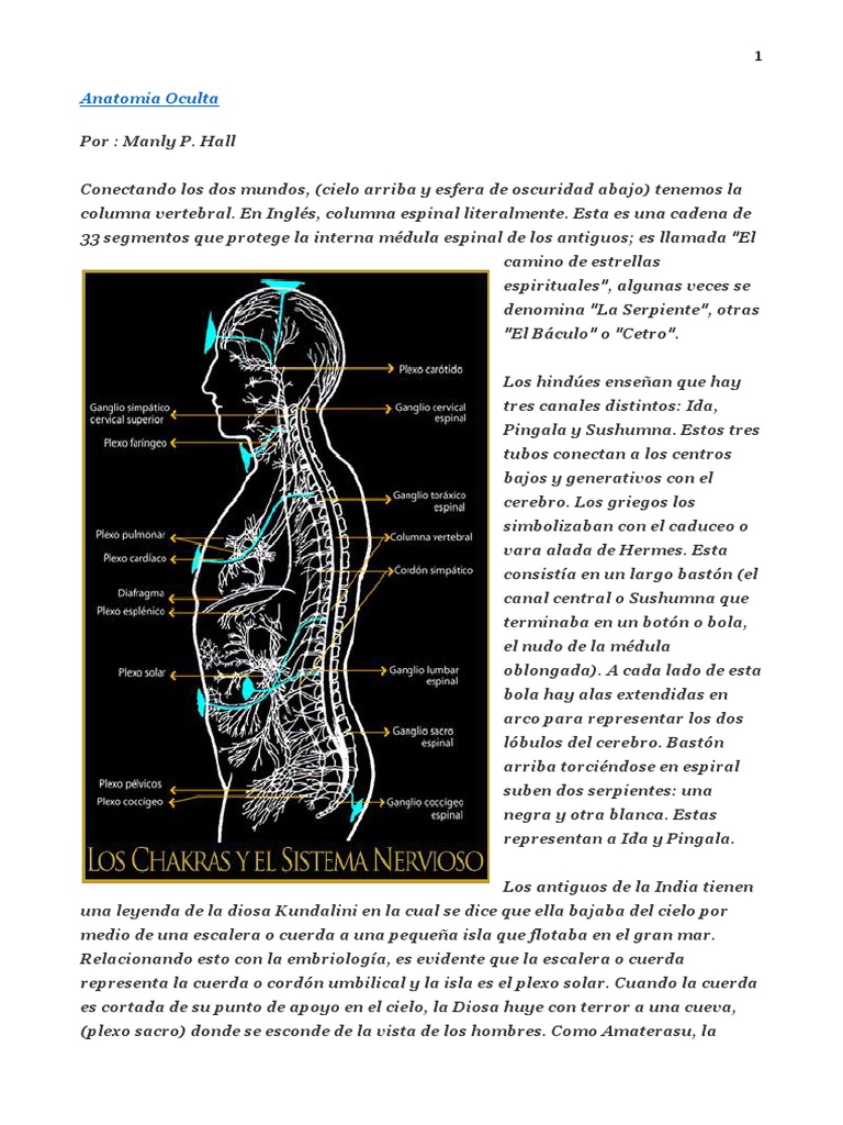 Anatomia Oculta.docx | Cerebro | Kundalini