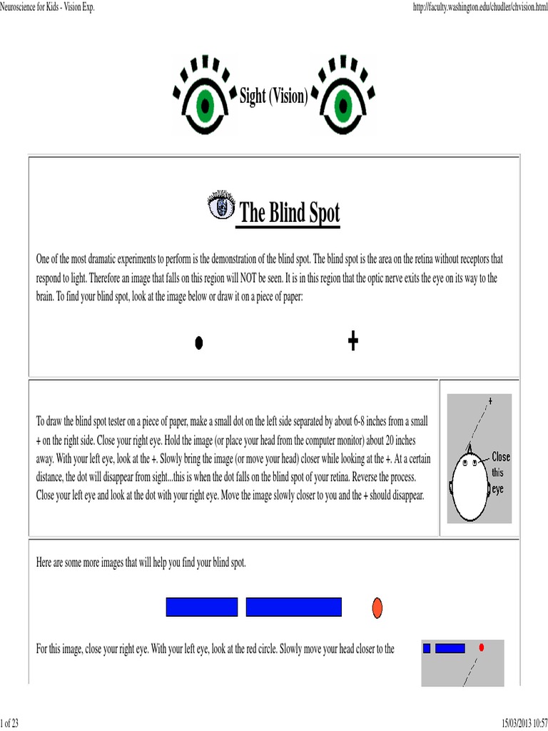 Neuroscience For Kids - Vision Exp PDF | Download Free PDF | Eye | Retina