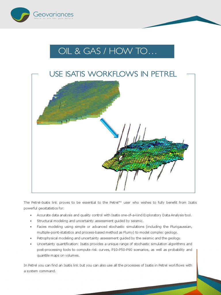 HowTo Workflow Isatis Petrel | PDF | Computer File | Workflow
