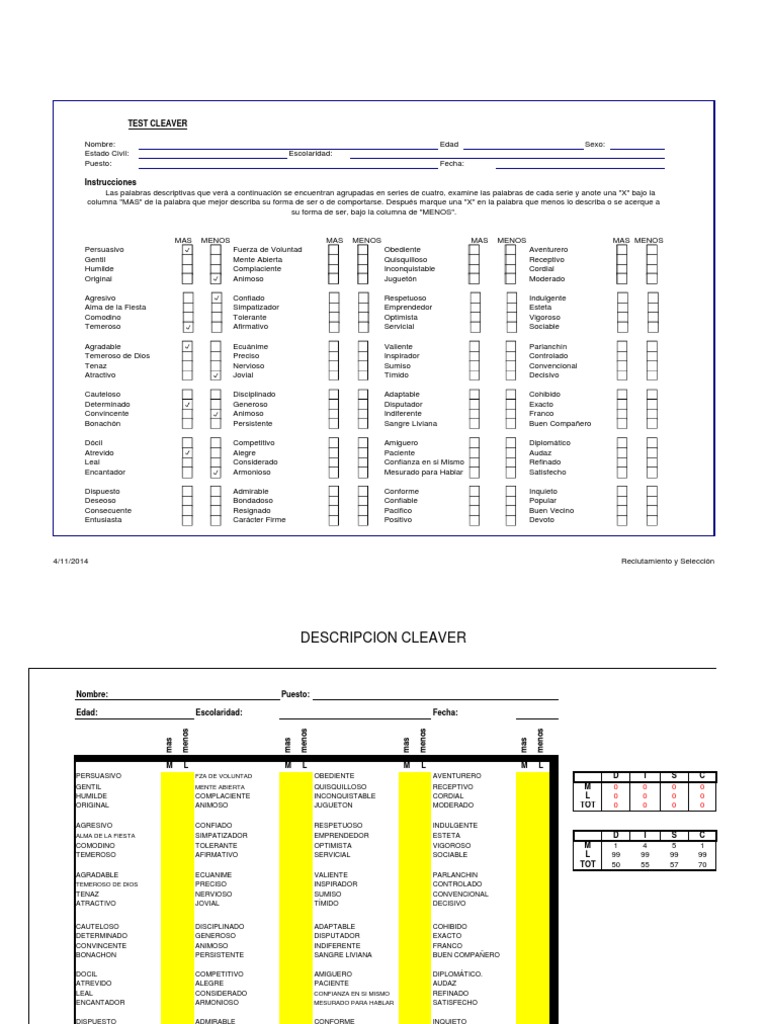 Evaluación de Personal con Test Cleaver | PDF | Toma de decisiones ...