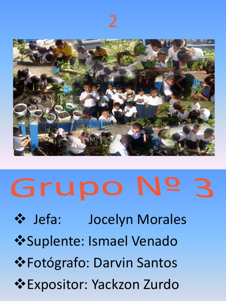 Actividad N 2 Power Point | PDF