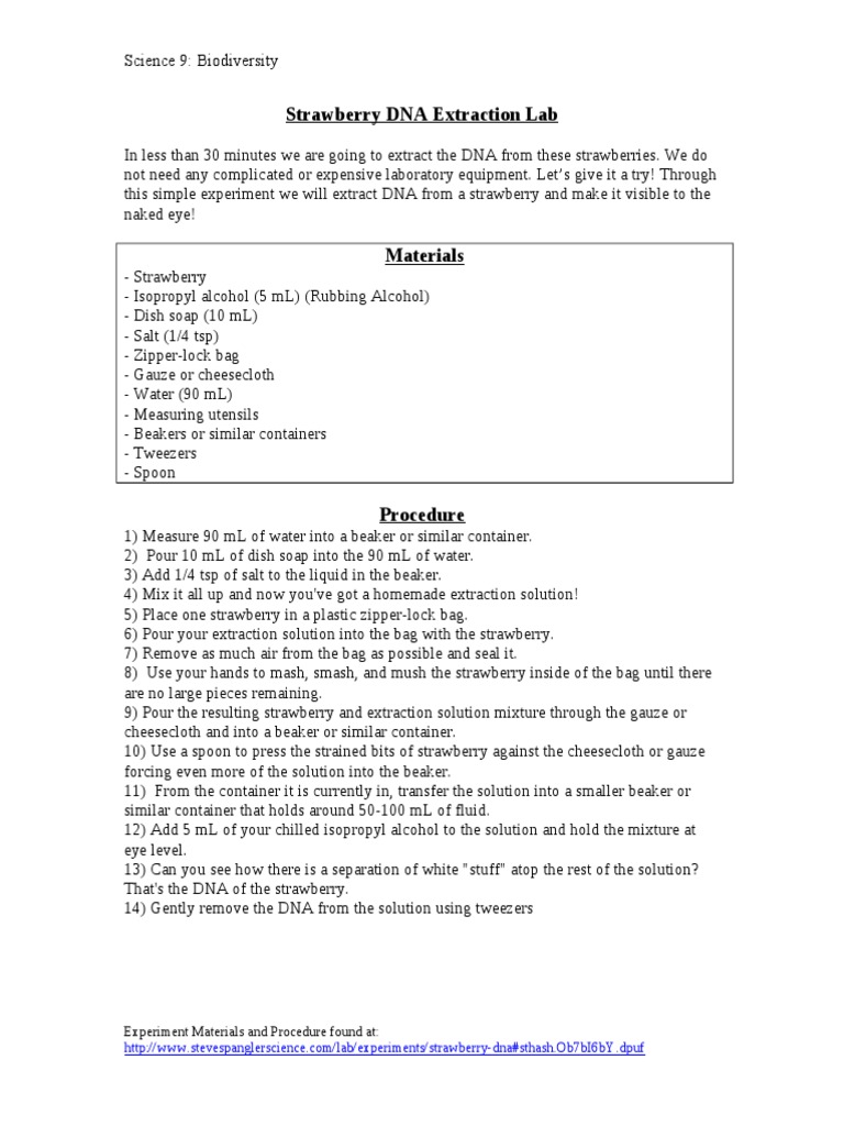 Strawberry Dna Extraction Lab | PDF | Dna | Genetics