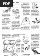 Pagbababuyan | PDF