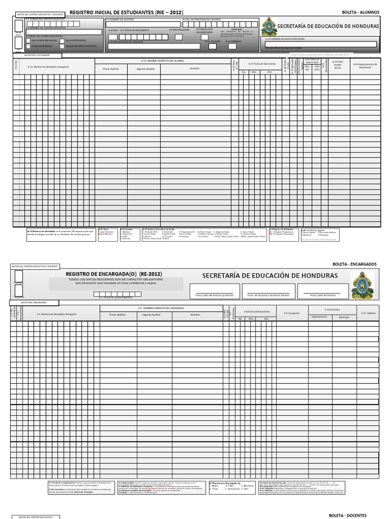 41 Ficha SACE (Version Final) | PDF | Educación Secundaria ...