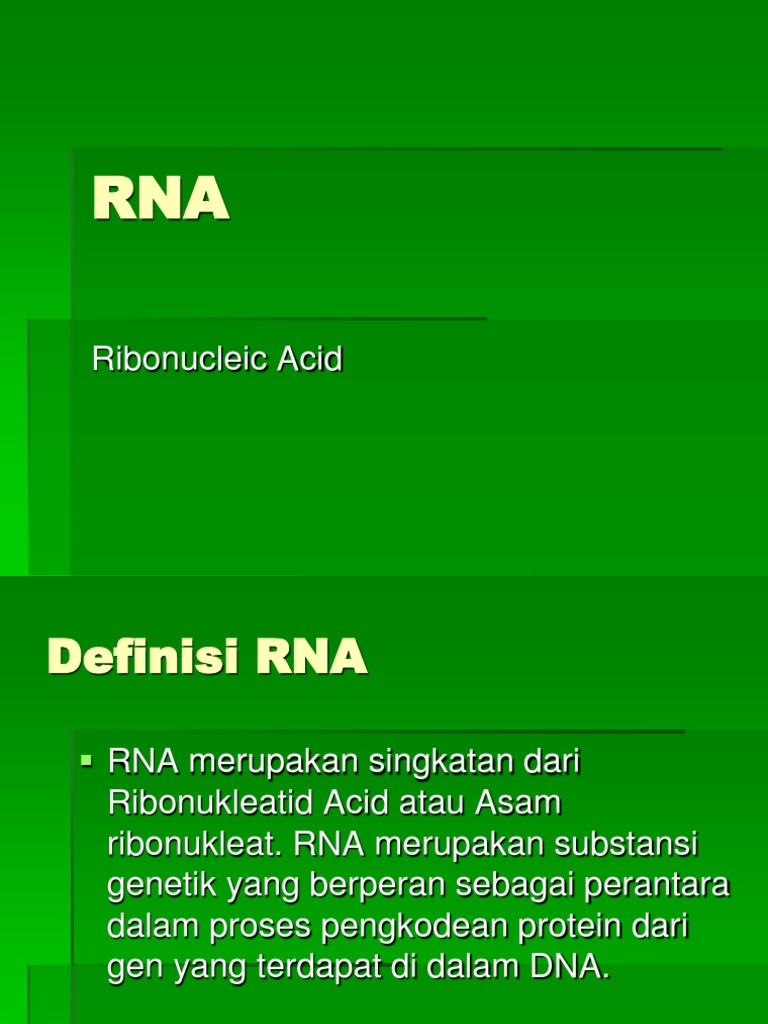 RNA PowerPoint | PDF