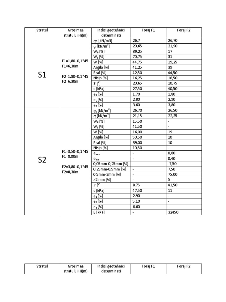 Andrei Proiect Fundatii | PDF