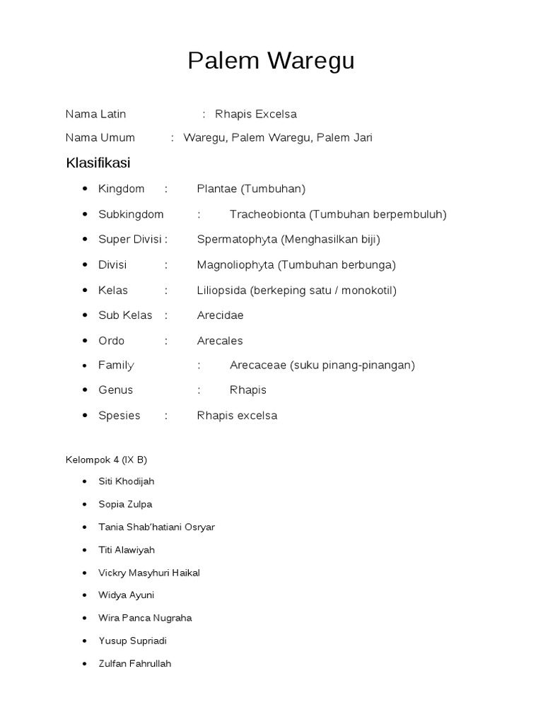 Palem Waregu: Rhapis Excelsa dan Klasifikasinya | PDF | Griya & Taman