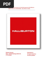 Halliburton'S Redbook: Complete, Digital Engineering Toolkit | PDF ...