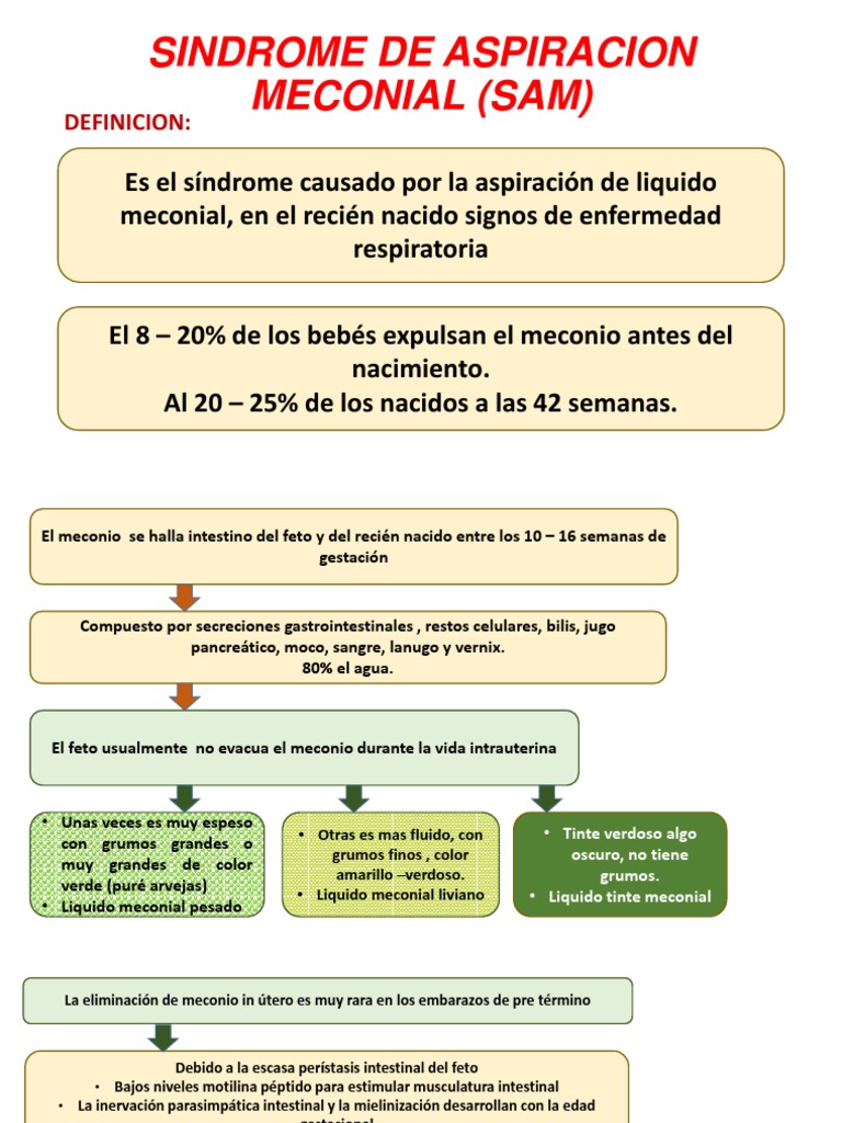 Clasificación y Manejo del Meconio en Neonatos | PDF | Infantes | El ...