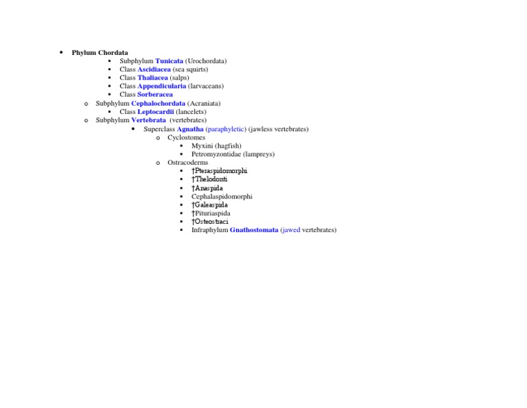 Chordata Phylum Classification Overview | PDF