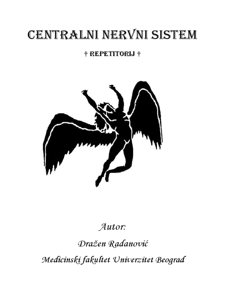 CNS Skripta Knjiga | PDF