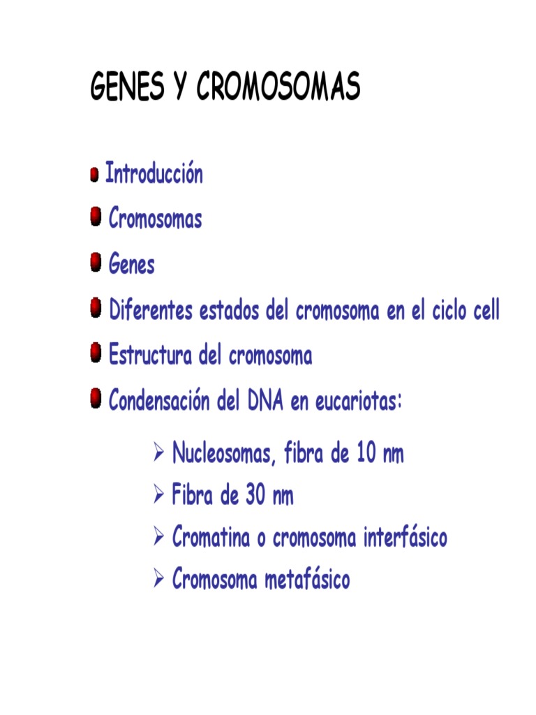 Genes y Cromosomas | PDF | Cromosoma | Cromatina