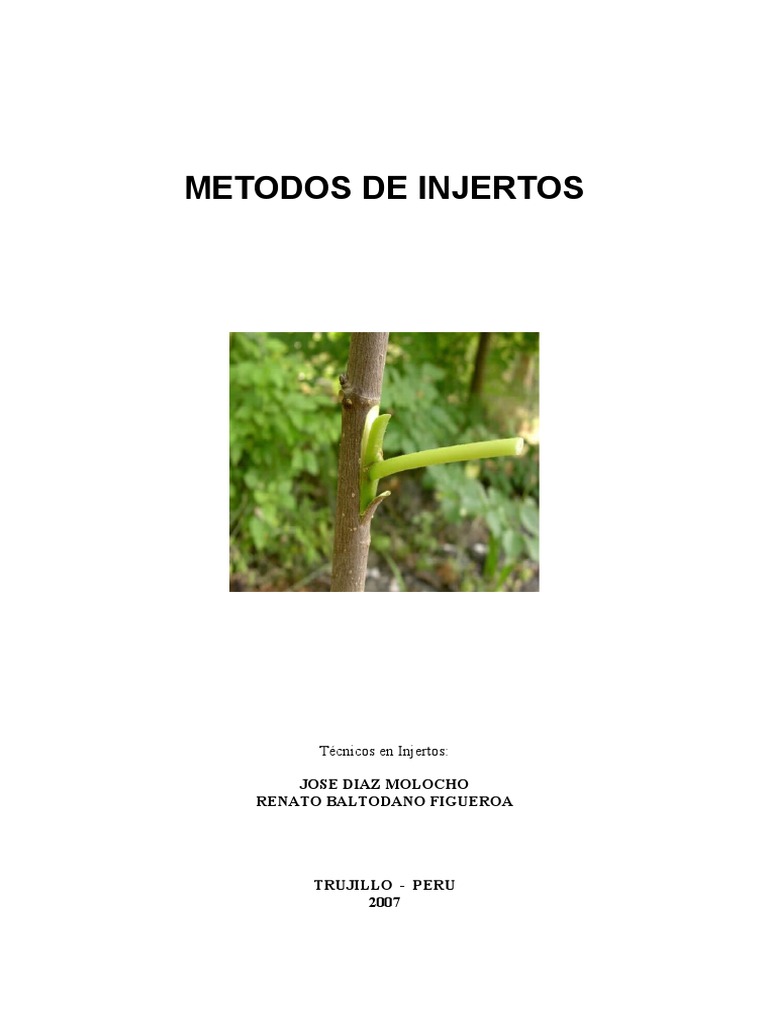 Metodos de Injertos | PDF | Injerto | Agricultura
