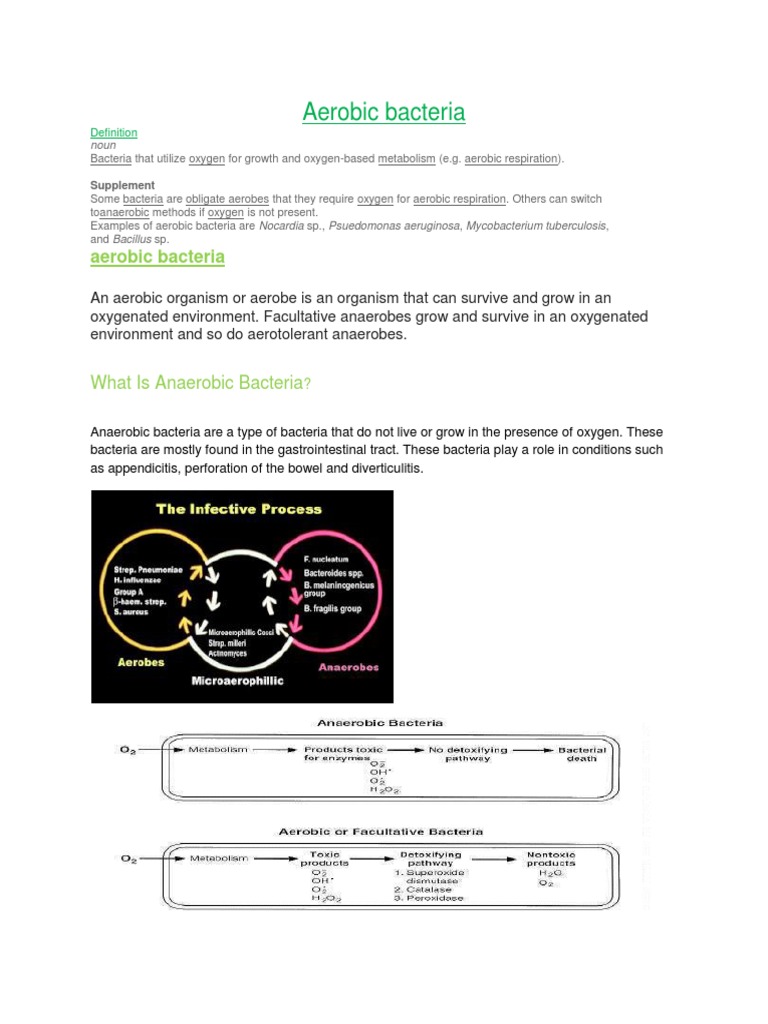 Anaerobic Vs Aerobic Bacteria