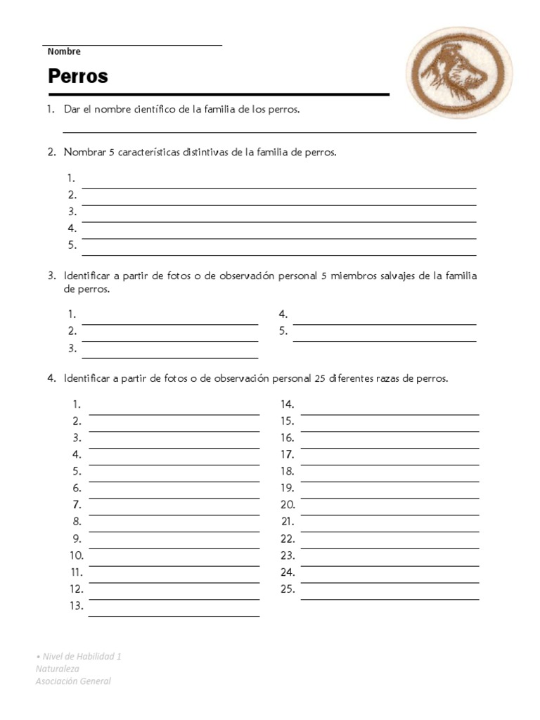 Perros | PDF