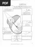 Memory Notebook of Nursing Vol | PDF | Health Care | Health Sciences