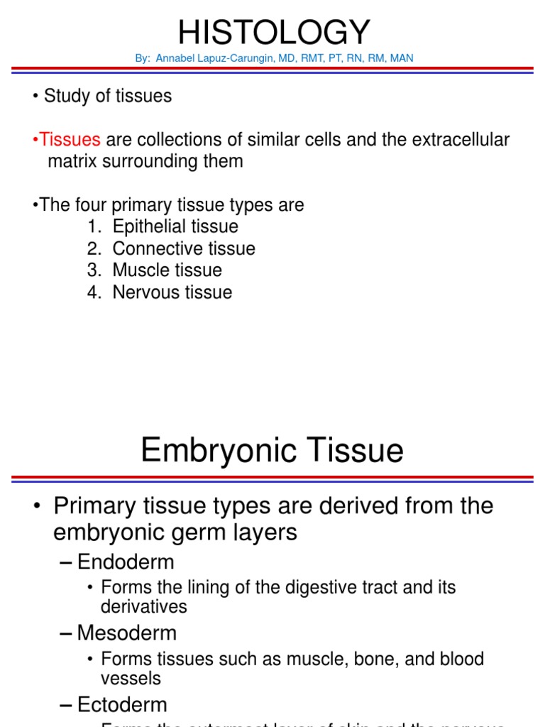 04 Lecture Ppt Pdf Epithelium Tissue Biology
