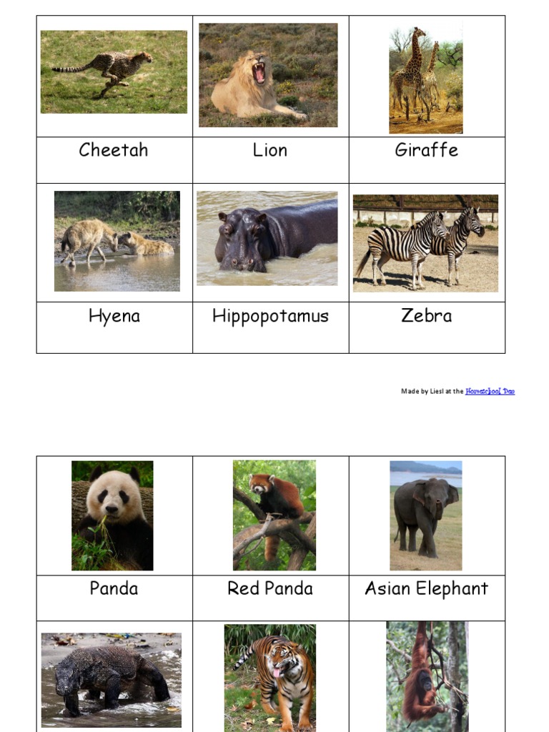 Animals of The 7 Continents | PDF | Organisms | Nature
