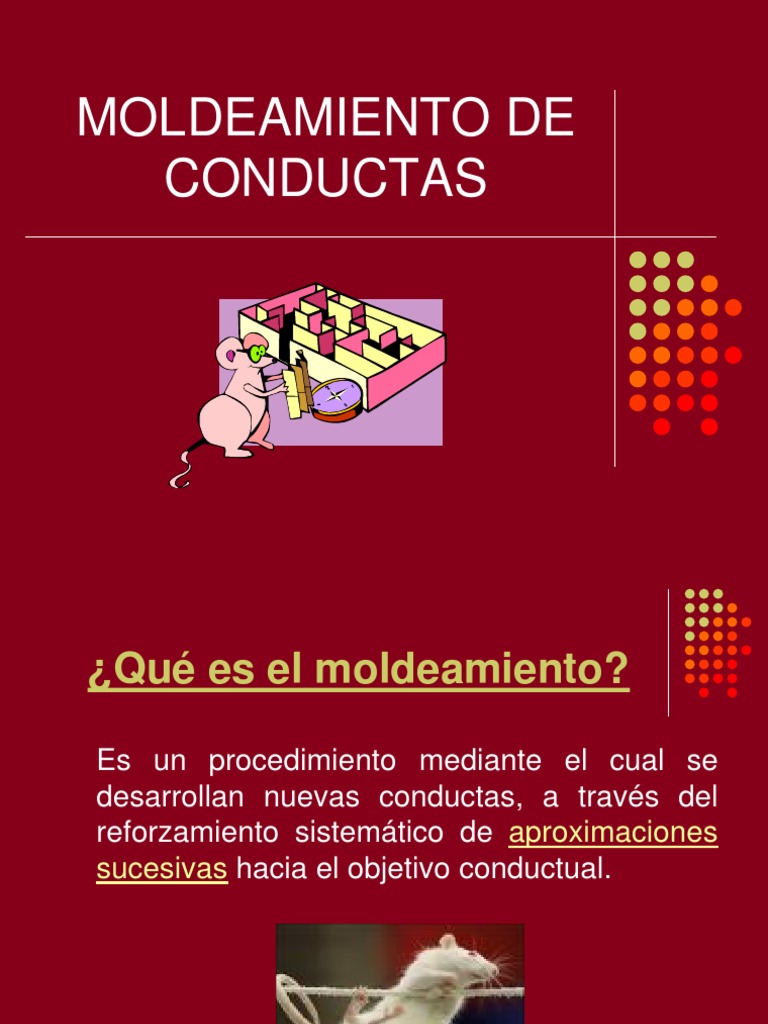 Moldeamiento de Conductas | Comportamiento | Cognición