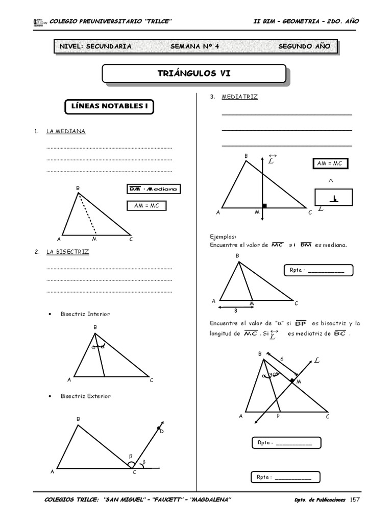 Geometria - 2do Año - Guia Nº4 - Triángulos Vi | PDF | Triángulo | Politopos