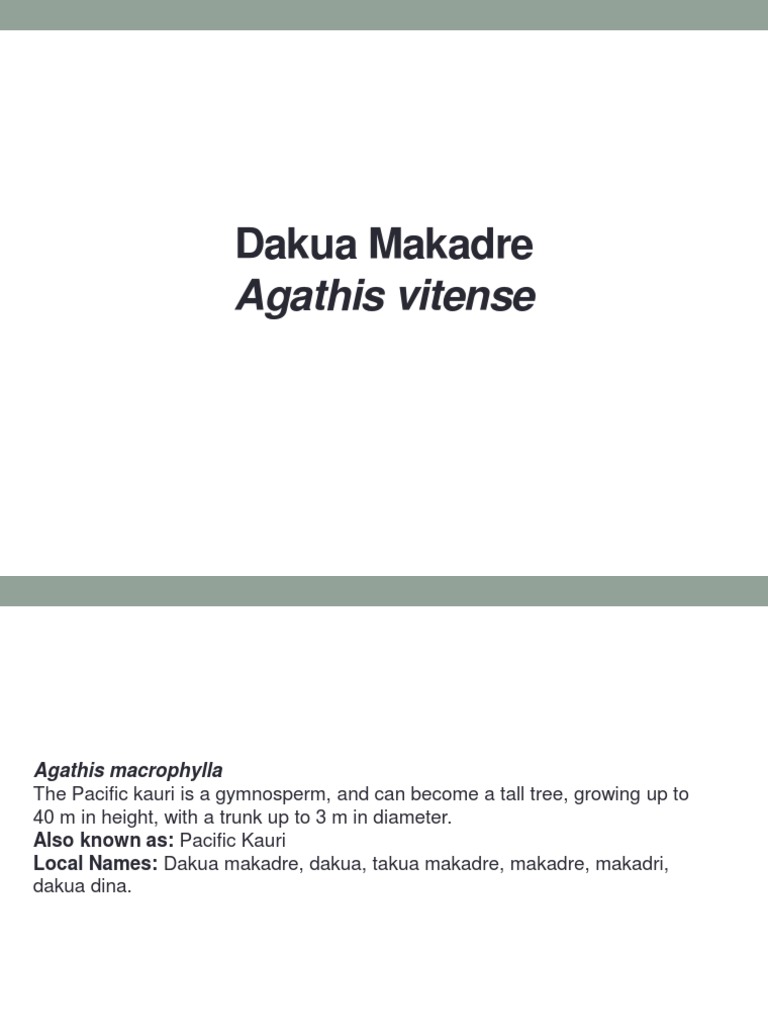 Dakua Makadre Presentation | PDF | Trees | Landscape Architecture