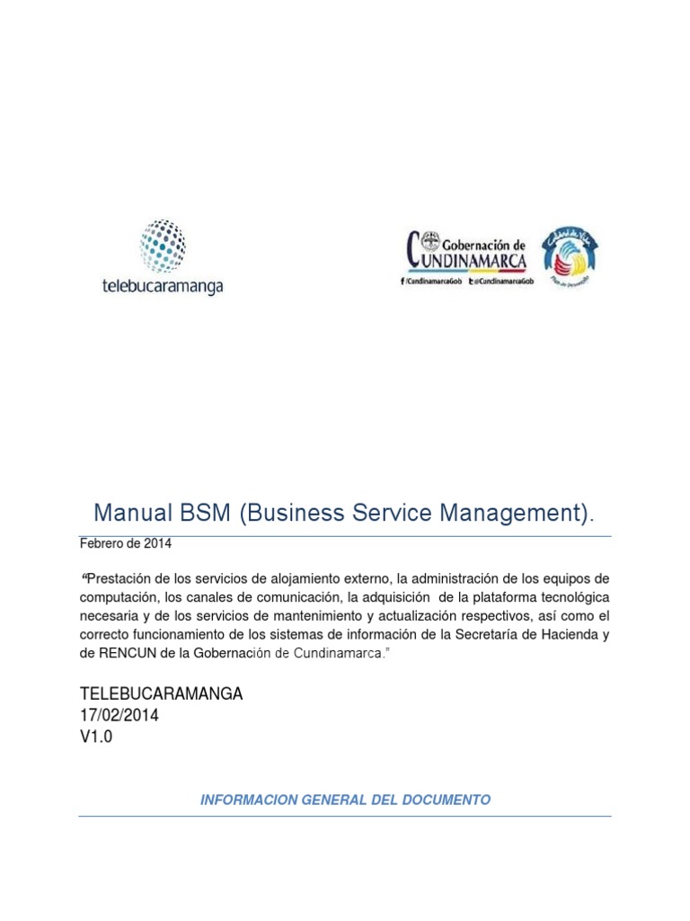 Manual BSM | PDF | Informática | ciberespacio