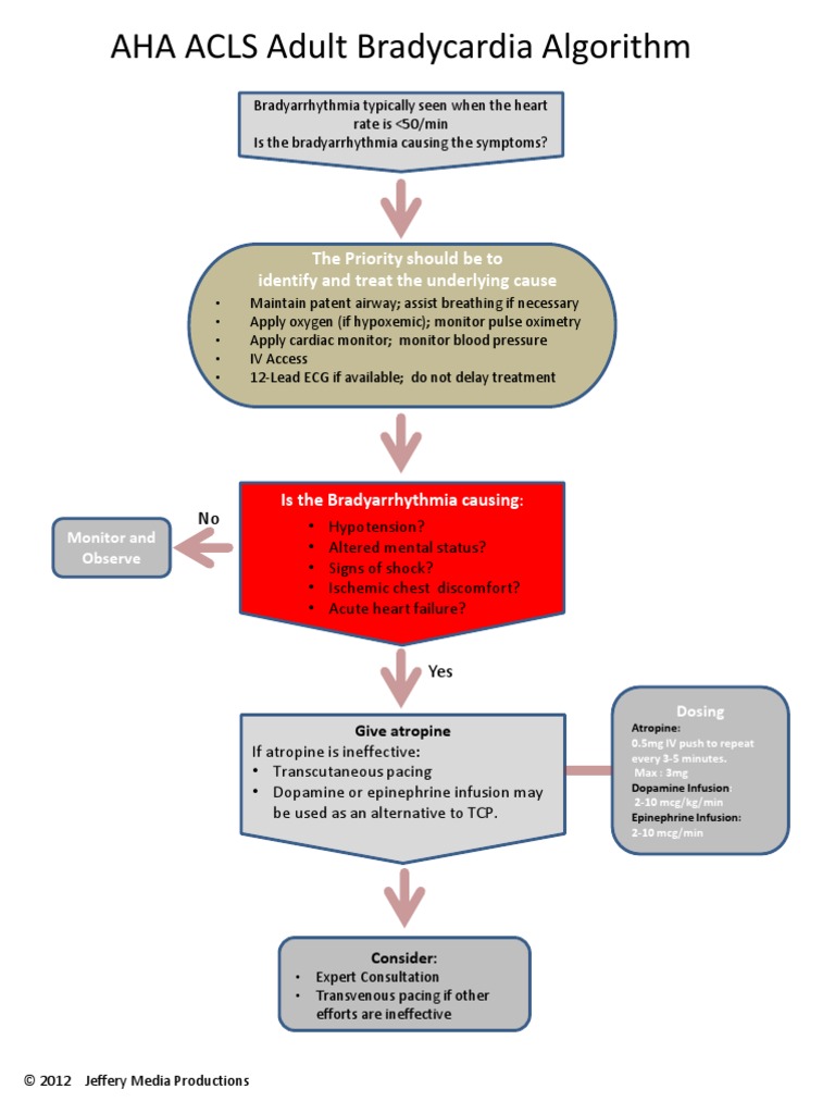 ACLS Adult Bradycardia Treatment Guide | PDF