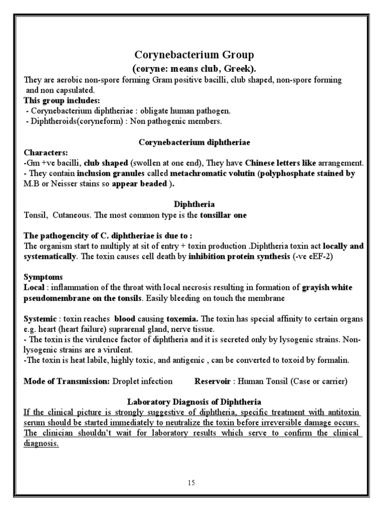 Corynebacterium Group (: Coryne: Means Club, Greek) | PDF ...