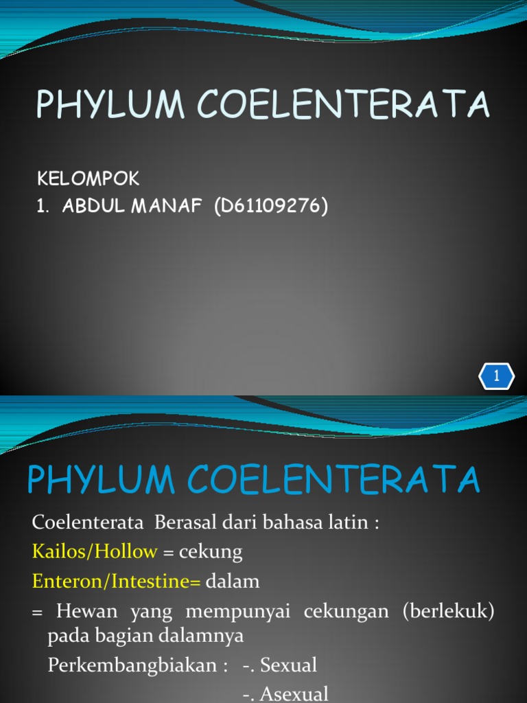 Karakteristik dan Klasifikasi Coelenterata | PDF