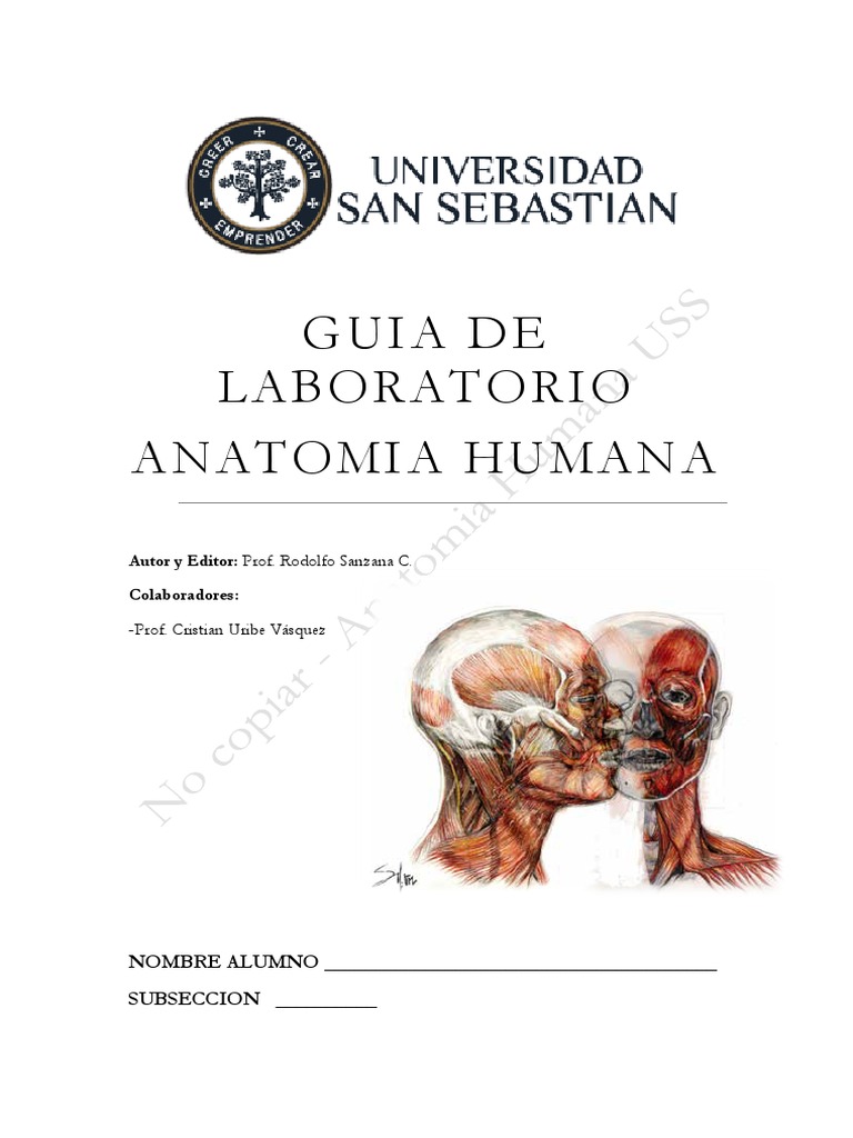 Guia Anatomia Humana (DBIO-1051) | PDF | Sistema nervioso | Sistema ...