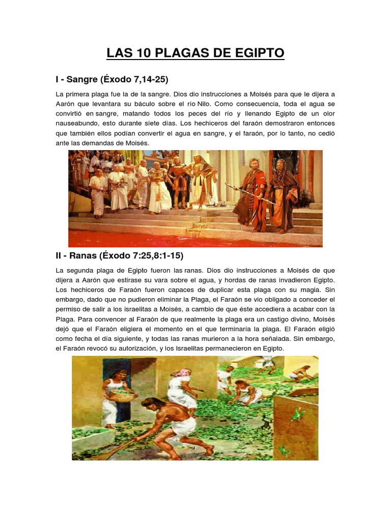 Las 10 Plagas de Egipto | Gente de la Torá | Moisés | Prueba gratuita ...