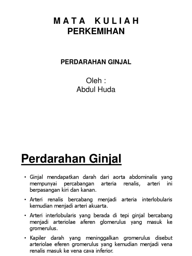Vaskularisasi Ginjal | PDF