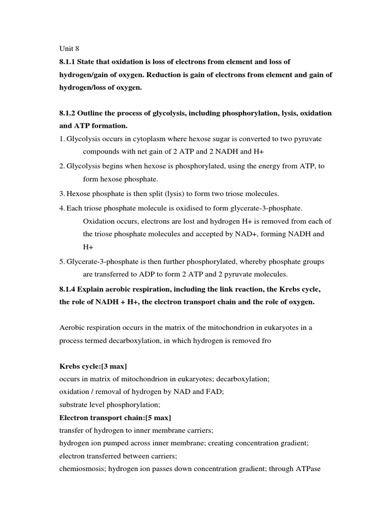 Unit 8-Cell Respiration and Photosynthesis | PDF | Electron Transport ...