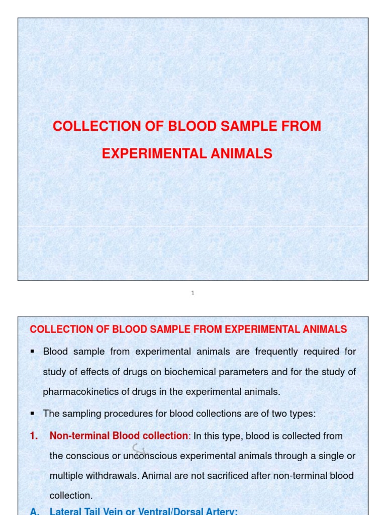 Collection of Blood Sample From Experimental Animals | PDF | Vein ...