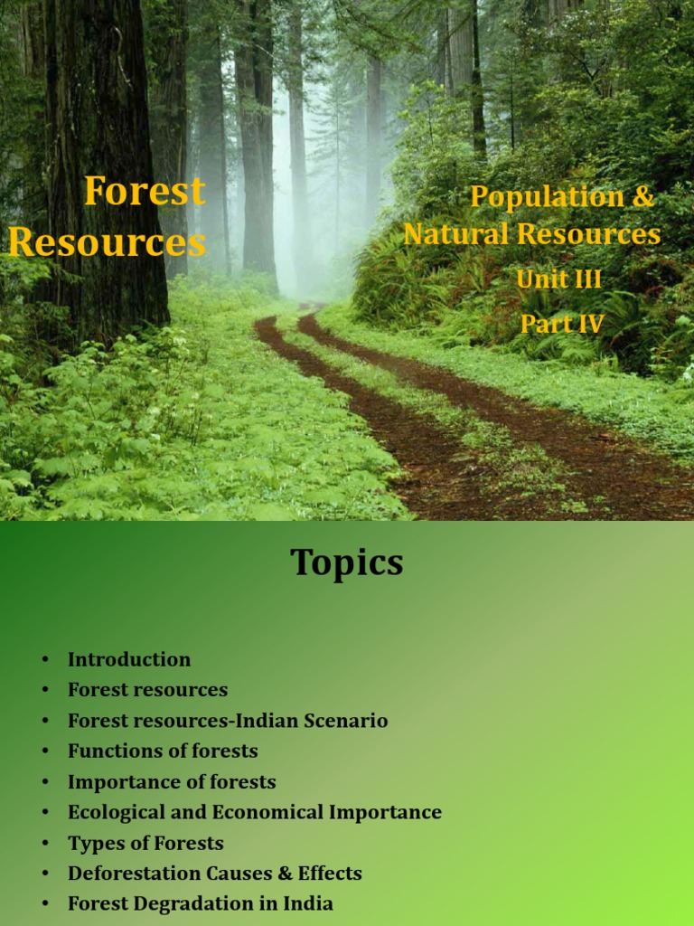 Forest Resources | PDF | Forests | Deforestation