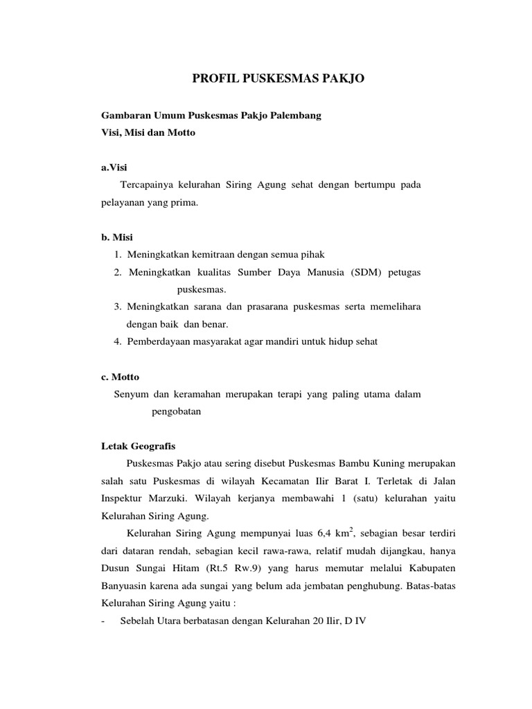 Lampiran Profil Puskesmas Pakjo | PDF