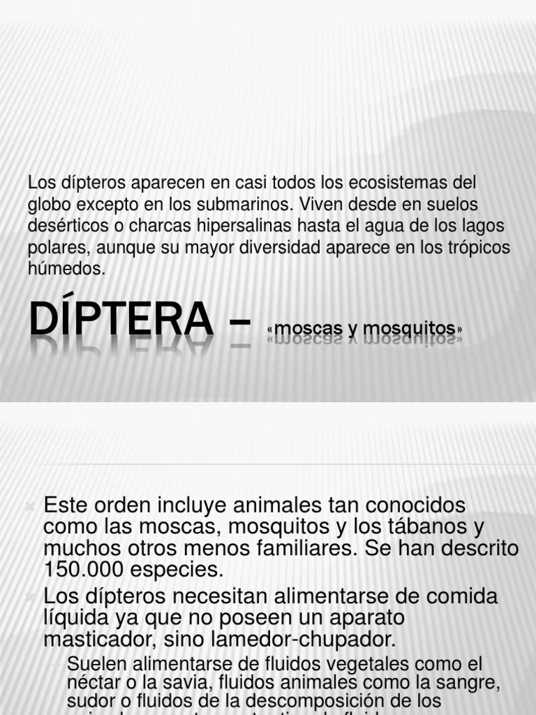 Díptera | PDF | Mosca | Insectos