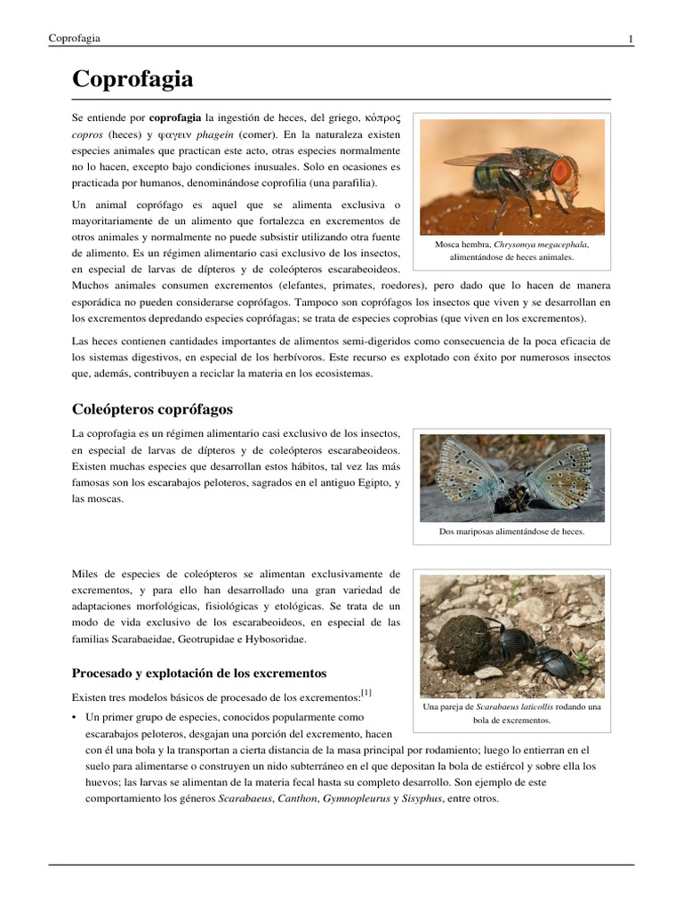 Coprofagia | PDF | Zoología | Animales y humanos