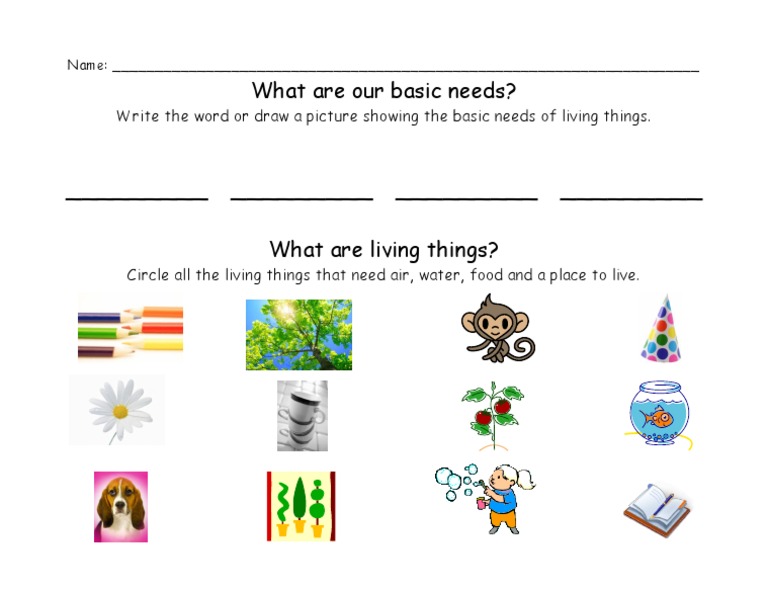Basic Needs of Living Things Activity | PDF | Foreign Language Studies ...