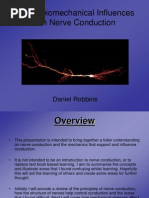 Neurodynamic Techniques (1) - David Butler & NOI Group | PDF ...