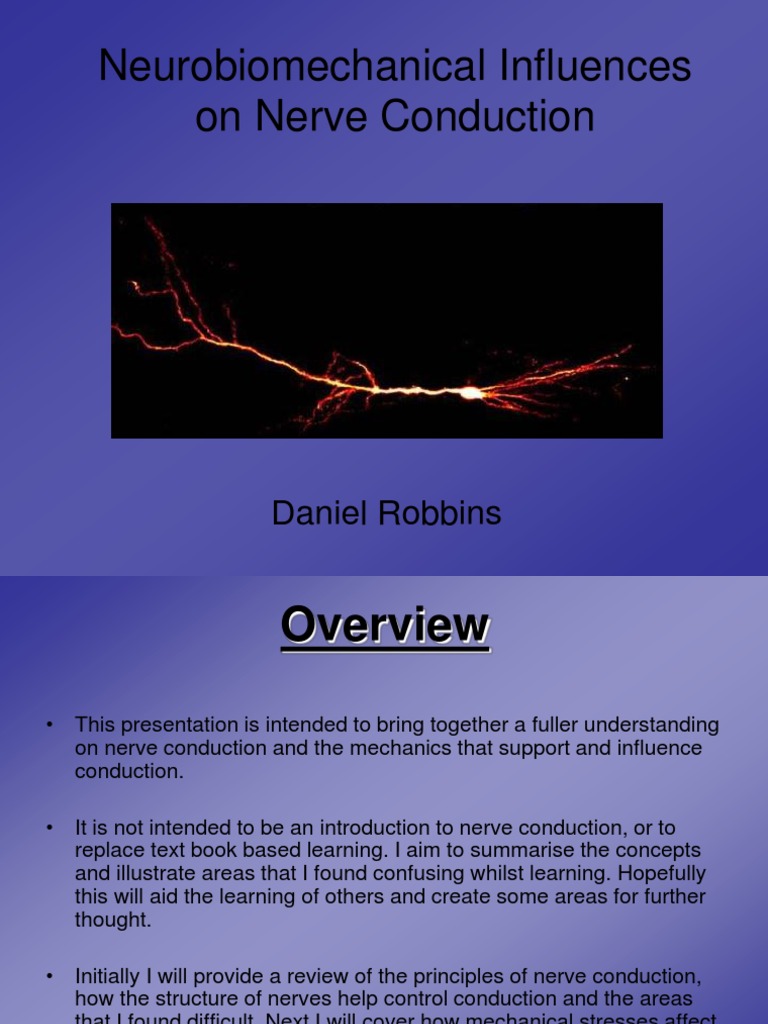 Nerve Conduction Neurobiomechanics | PDF | Action Potential | Ion Channel