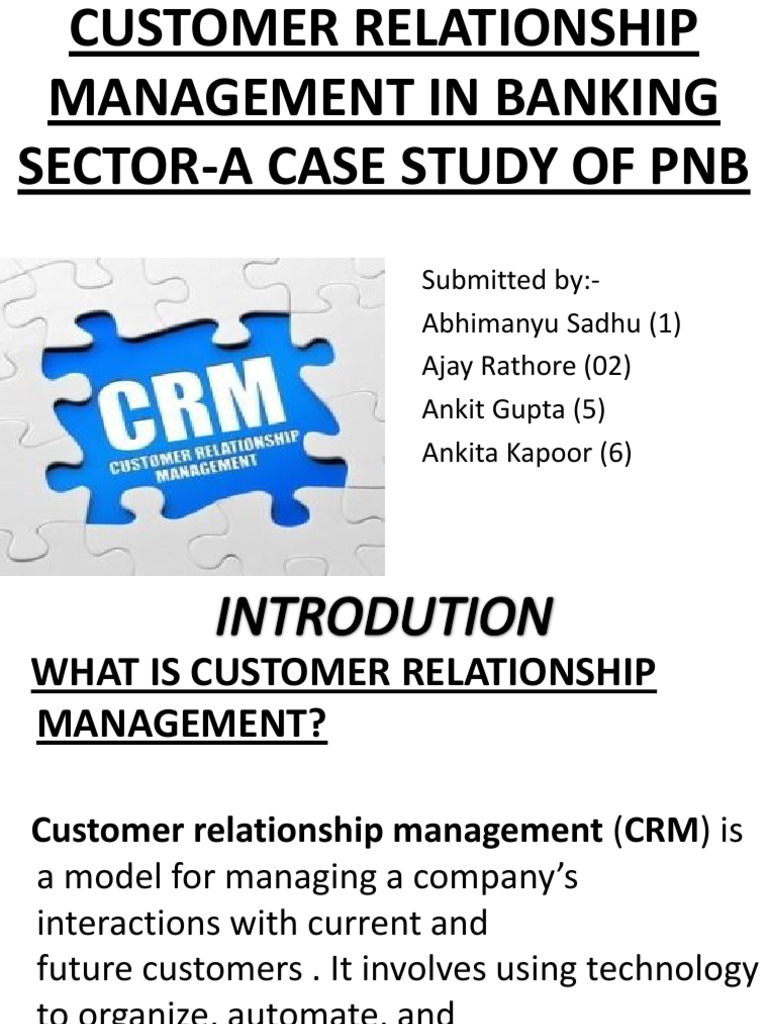 Customer Relationship Management in Banking Sector-A Case Study of PNB ...
